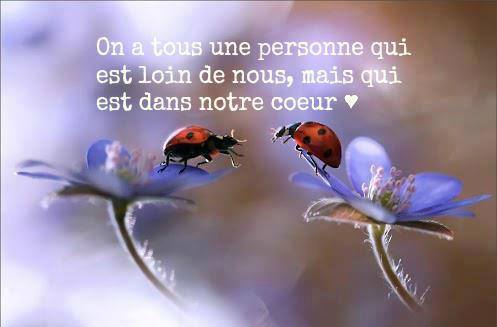 Une personne loin de nous - Inspirations pour réussir sa vie