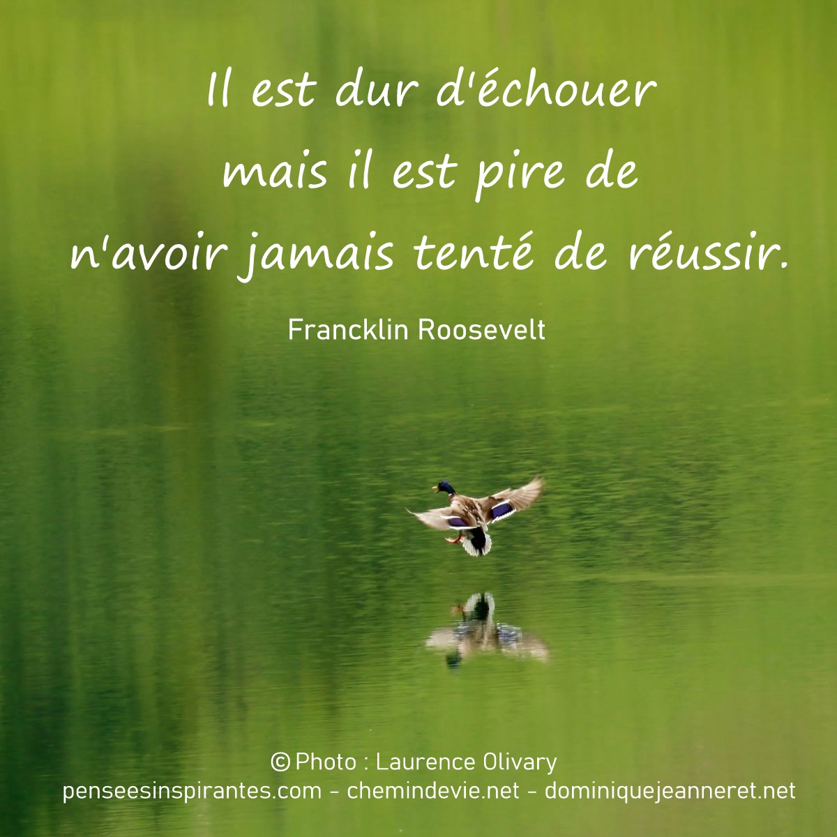 Échouer ou réussir - Inspirations pour réussir sa vie