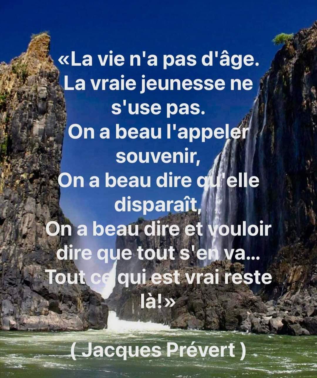 La vie n'a pas d'âge - Inspirations pour réussir sa vie